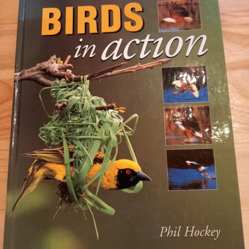 BIRDS in action by Phil Hockey (1996) - NorthbyNorth