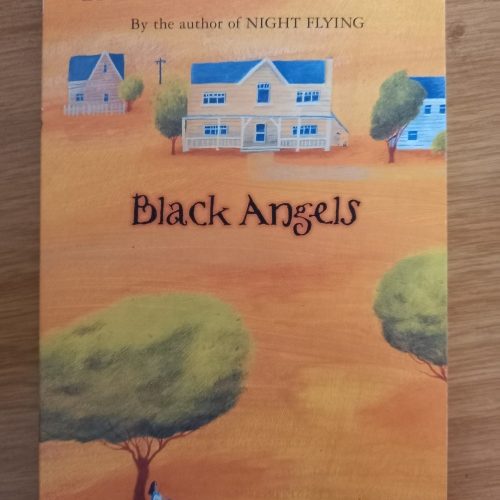 Black Angels by Rita Murphy - NorthbyNorth