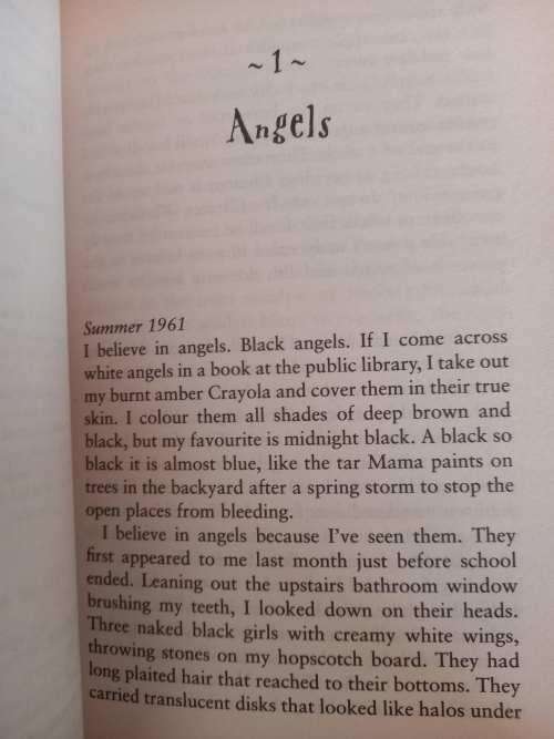 Black Angels by Rita Murphy - NorthbyNorth