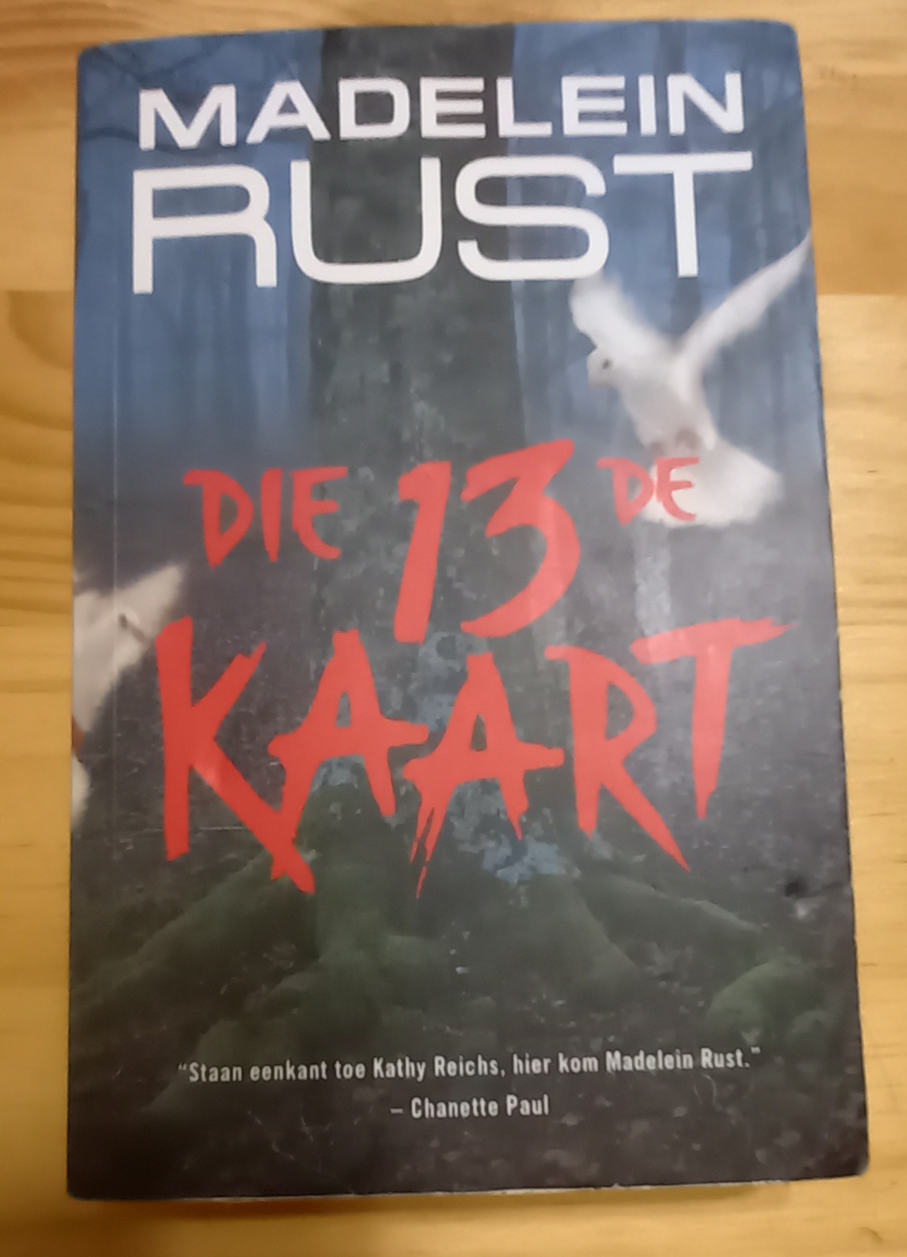 Die 13de kaart - Madelein Rust (2014) - NorthbyNorth