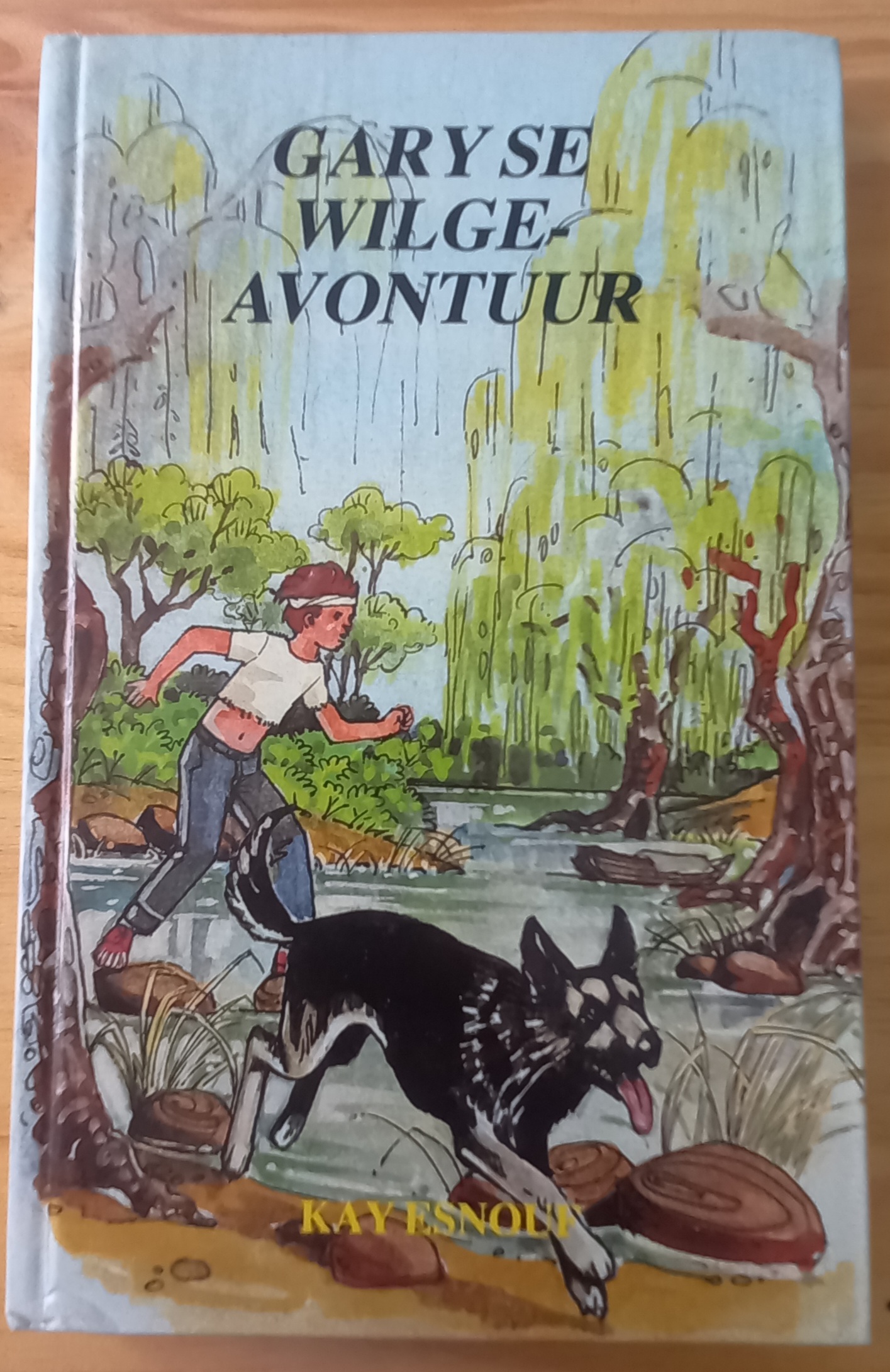 Gary se wilgeavontuur - Kay Esnouf (1987) - NorthbyNorth