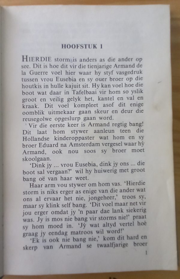 Die seerower van Cadiz [deel 1] Die skipbreukeling - Nicky van ...